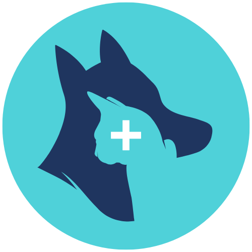 Kendall Animal Clinic - Paws, Claws, & Jaws