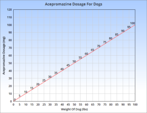 How to Calculate a Safe Acepromazine Dosage for Dogs?